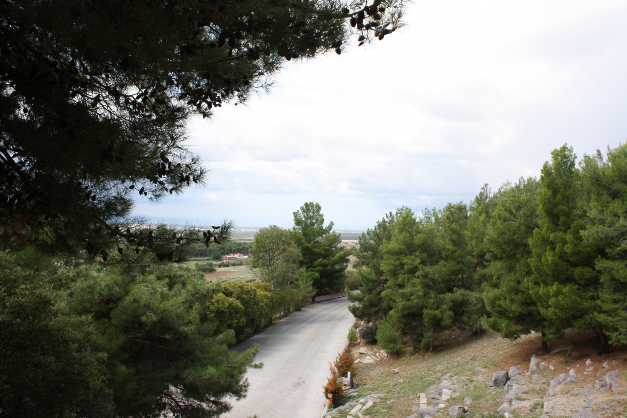 Petralona Cave and the Oldest Human Skull in Europe - Travel Tramp
