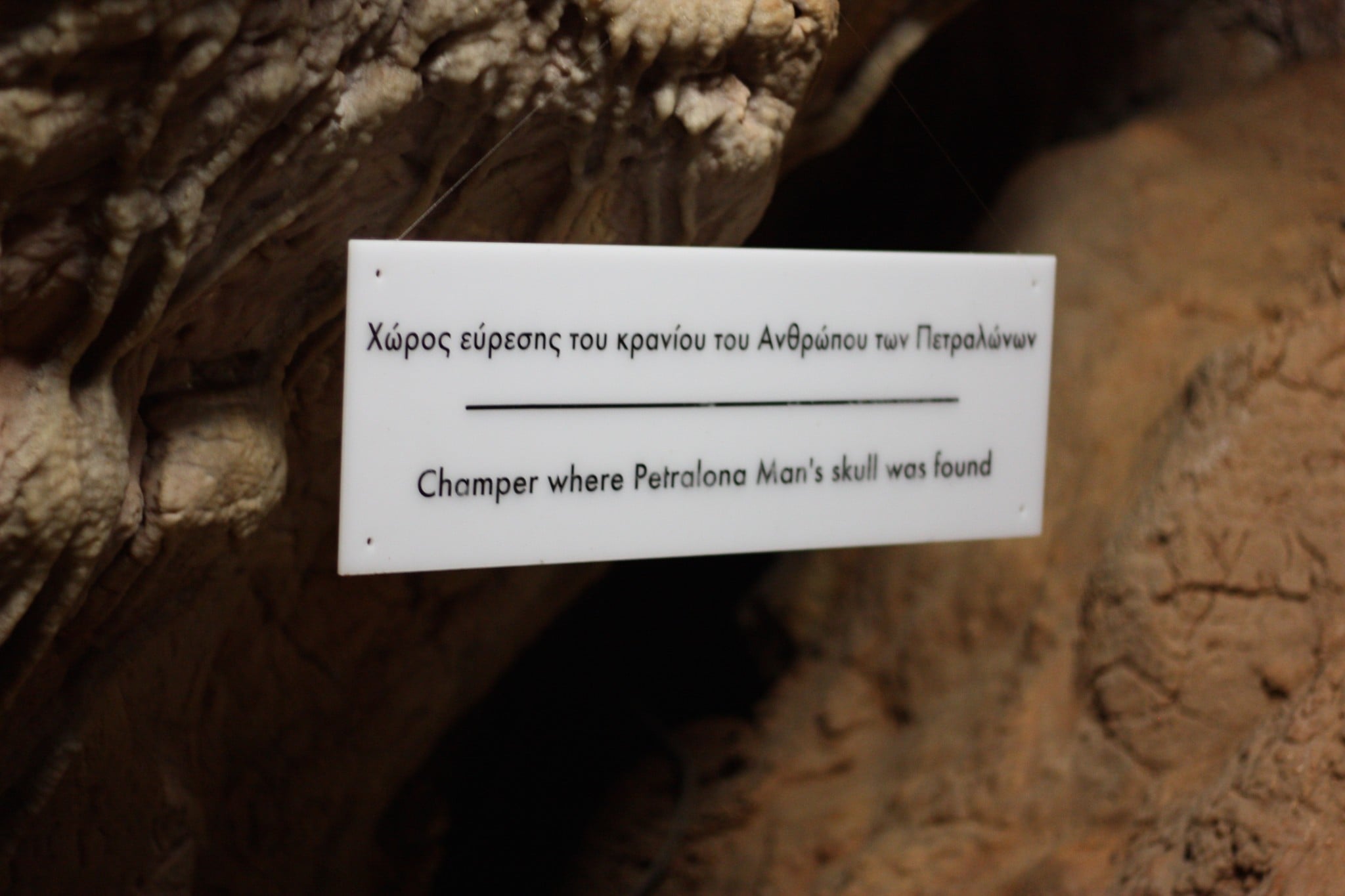 Petralona Cave and the Oldest Human Skull in Europe - Travel Tramp