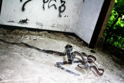 Crocodiles and Bats: Bali's Abandoned Theme Park - Travel Tramp