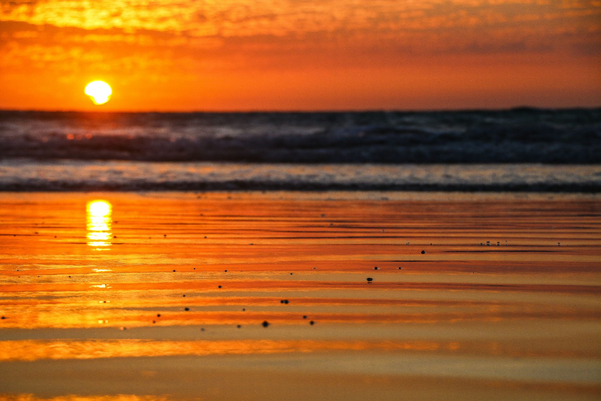 Guest Posts - Travel Tramp