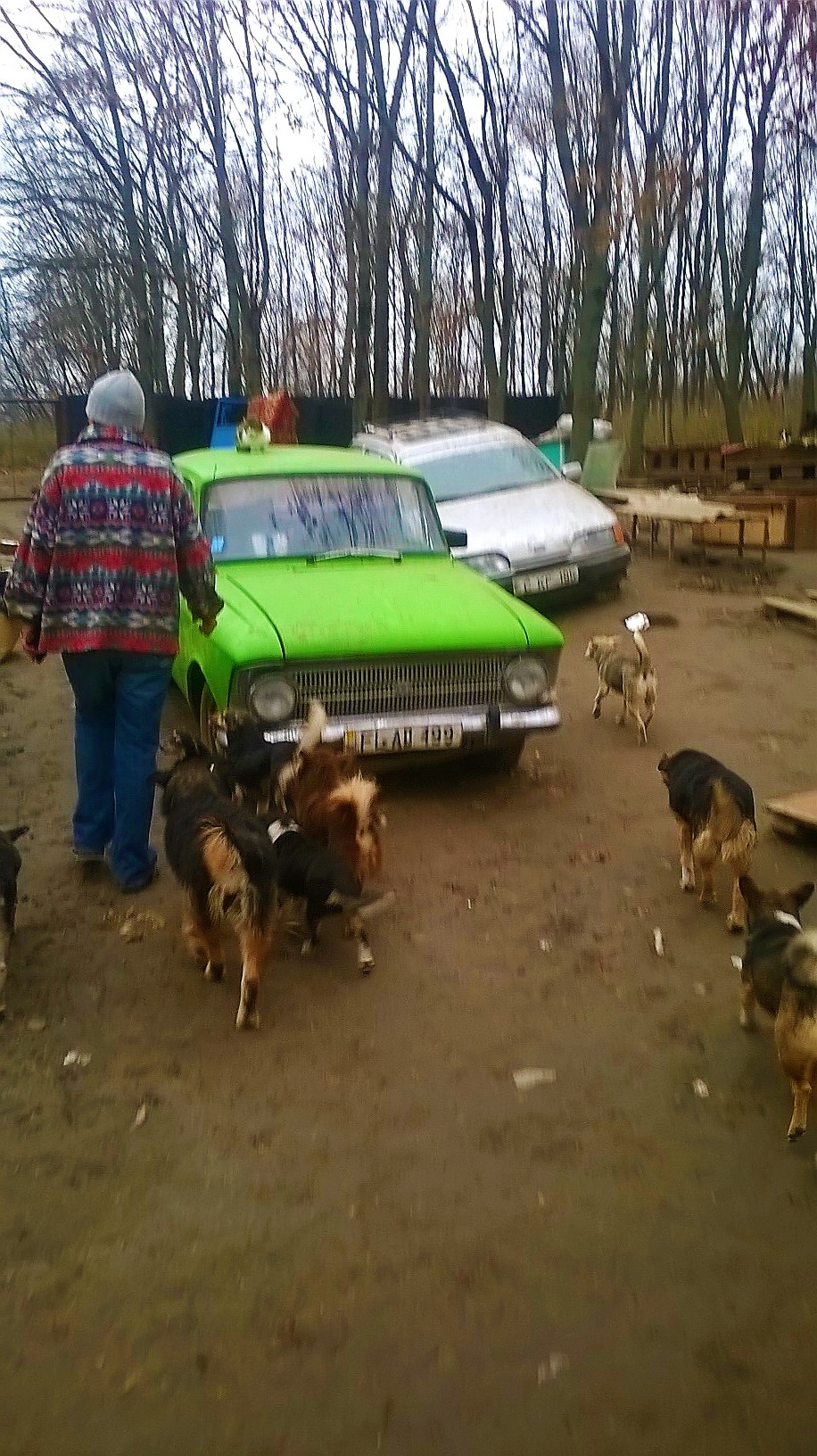 Job Hunting With The Moldovans - Travel Tramp