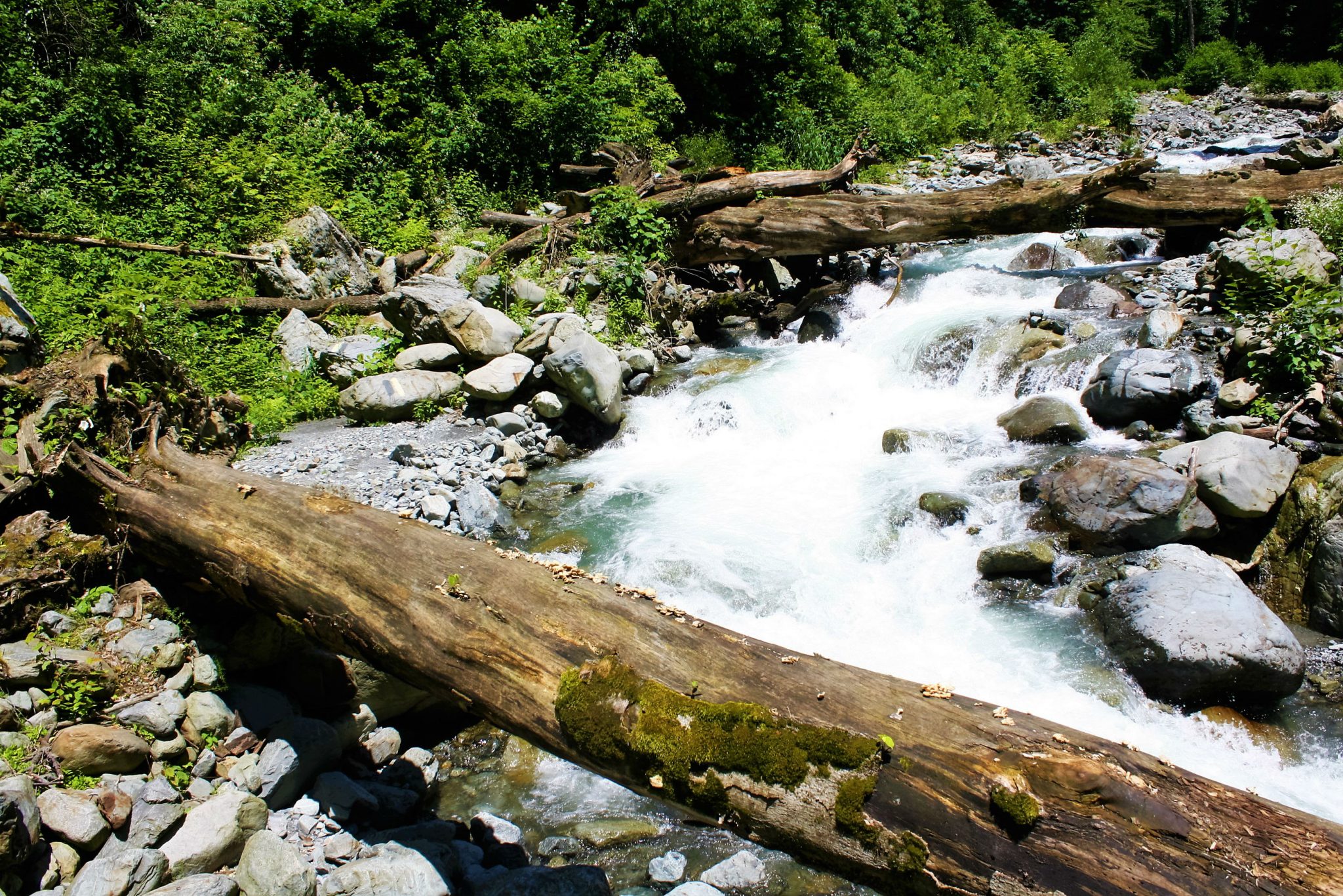 Top Things To Do In Georgia! - Travel Tramp