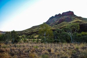 The Abandoned Blue Asbestos Mining Town Of Wittenoom - Travel Tramp