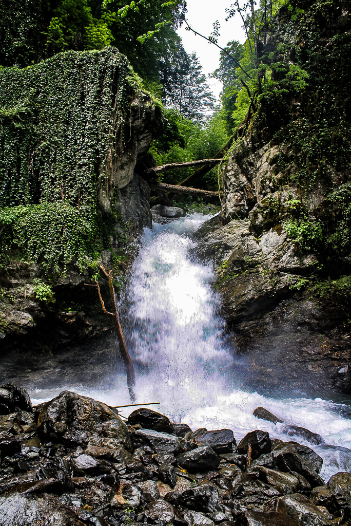 Lagodekhi National Park In Georgia Is Nature At Its Finest! - Travel Tramp