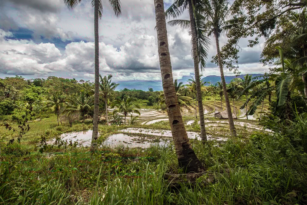 Venilale and the Japanese Caves of East Timor - Travel Tramp