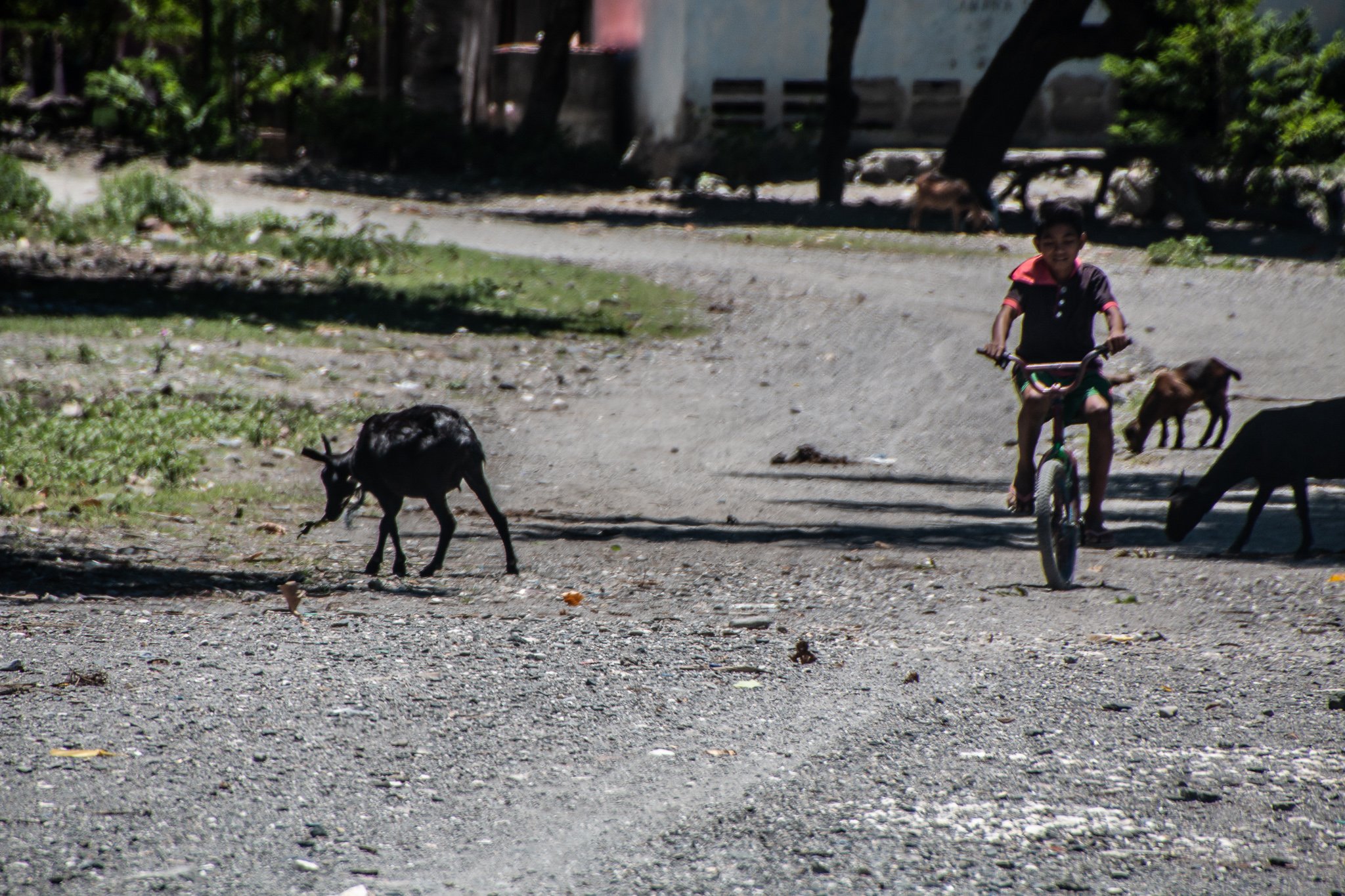 The Abandoned Colonial Ruins of Liquica, East Timor - Travel Tramp
