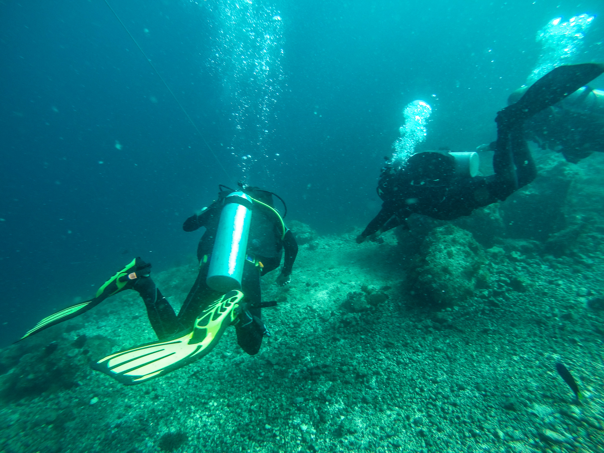 The Whale Sharks of Donsol - Travel Tramp