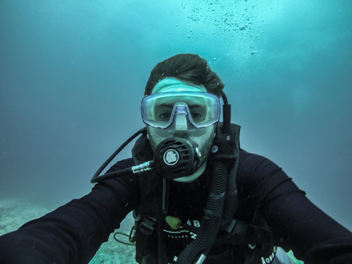 The Whale Sharks of Donsol - Travel Tramp