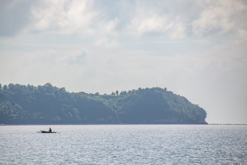 The Whale Sharks of Donsol - Travel Tramp