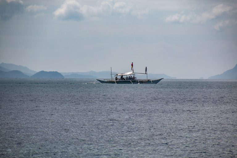 The Whale Sharks of Donsol - Travel Tramp