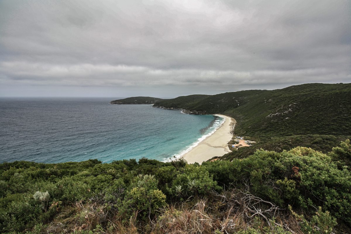 THINGS TO DO IN DENMARK WA - Travel Tramp