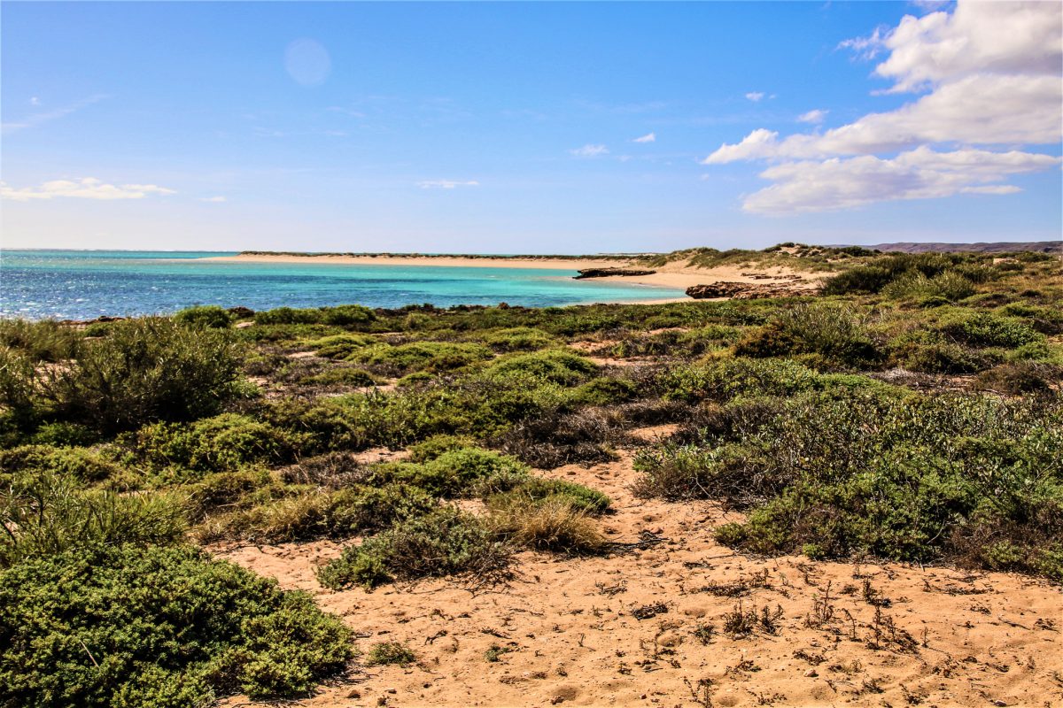 12 Things To Do In Exmouth, Western Australia - Travel Tramp