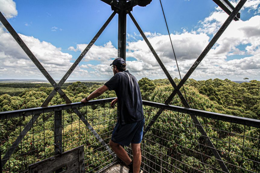 Gloucester National Park - Climbing the 53 Metre Tall Gloucester Tree ...