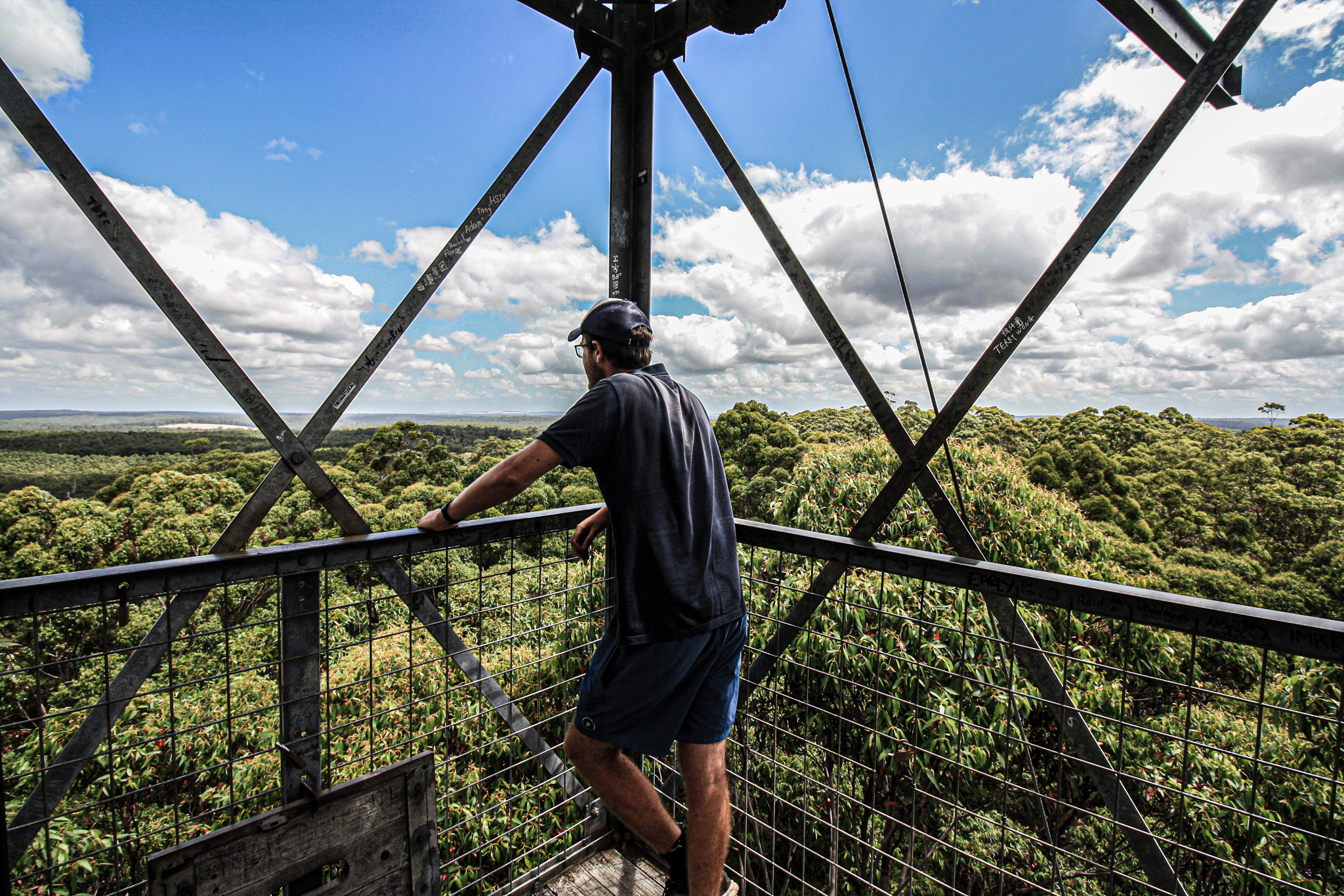 Gloucester National Park - Climbing the 53 Metre Tall Gloucester Tree ...