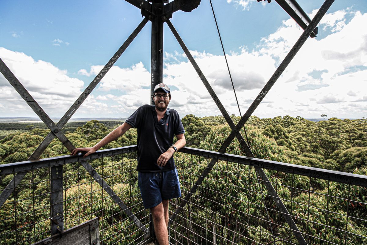 Gloucester National Park - Climbing the 53 Metre Tall Gloucester Tree ...