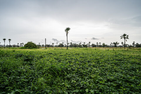 Where is Senegal? Everything You Need to Know. - Travel Tramp