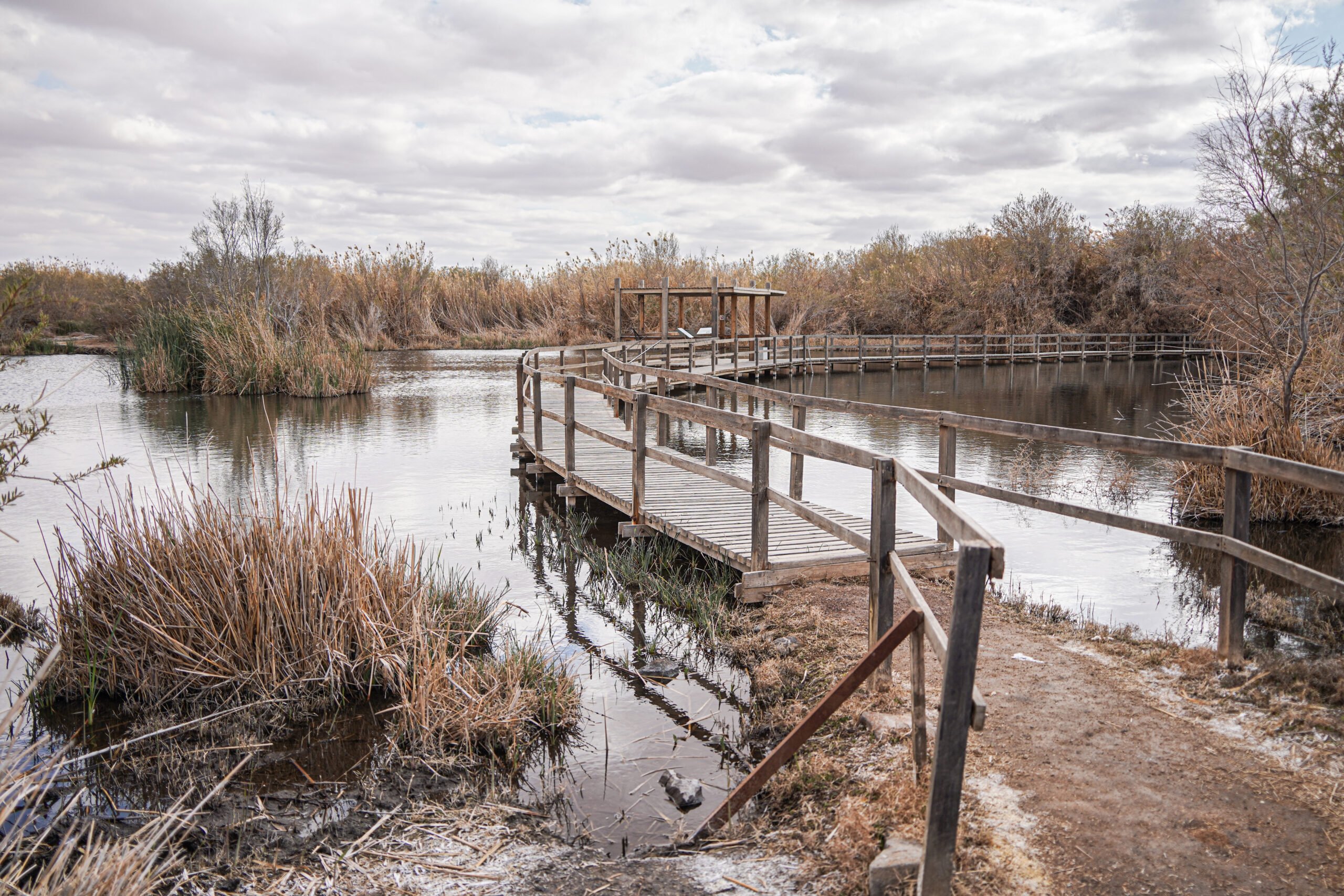 Azraq Wetlands: Eastern Jordan's Vanishing Desert Oasis - Travel Tramp